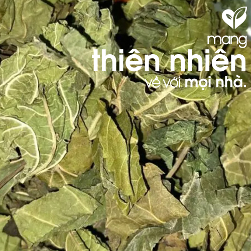 Bạc Hà | Mint Leaves - B2C